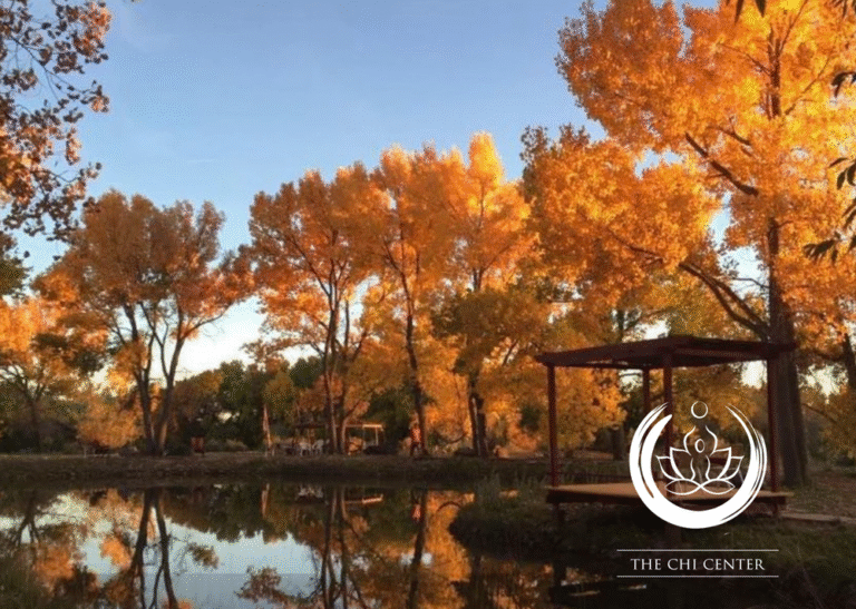 Pastoral Reflections Institute – Opening Hearts to the Presence of God